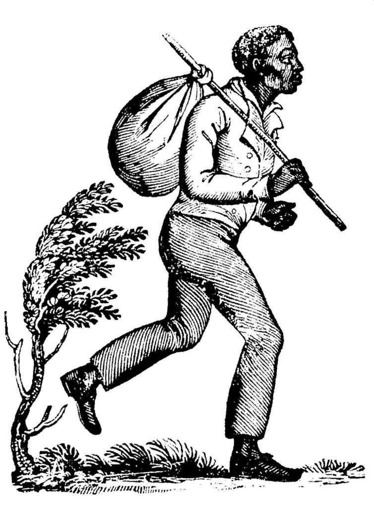 Black Protest, White Backlash, and the History of Scientific Racism - AAIHS