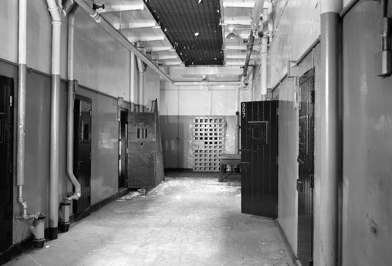 Roberta Elder: The Case of a Black Woman Serial Killer - AAIHS