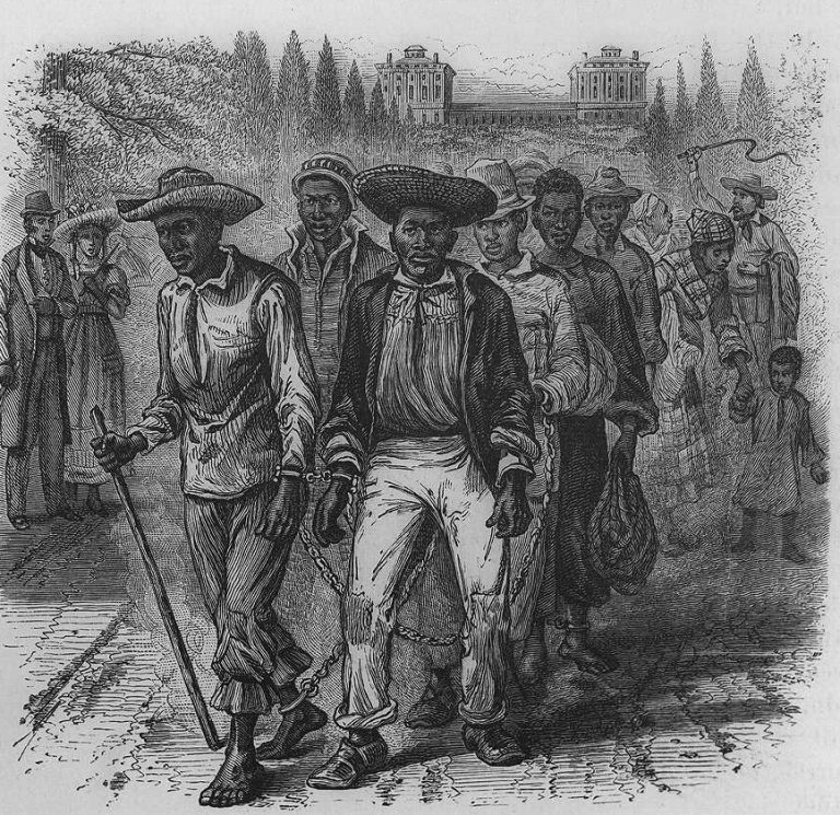 Reading the Language of Violence in the Middle Passage - AAIHS