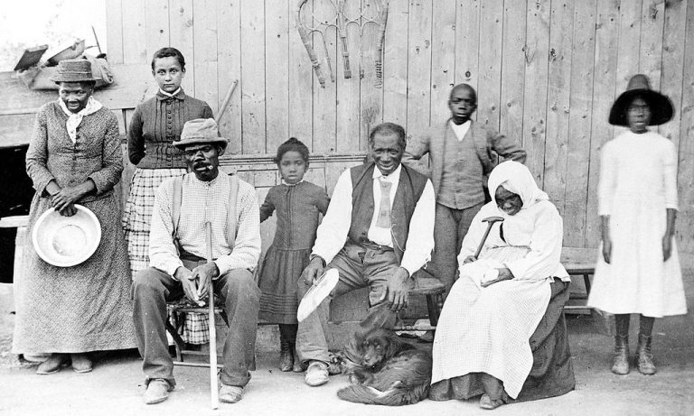 Slavery and Disability in Antebellum America - AAIHS